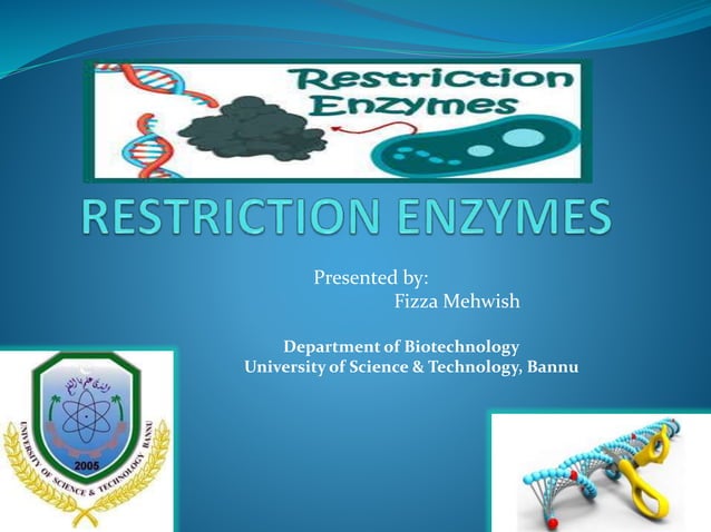 Restriction Enzyme | PPTX | Chemistry | Science