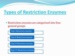 Restriction Enzyme | PPTX