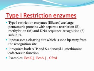 Restriction Enzyme | PPTX