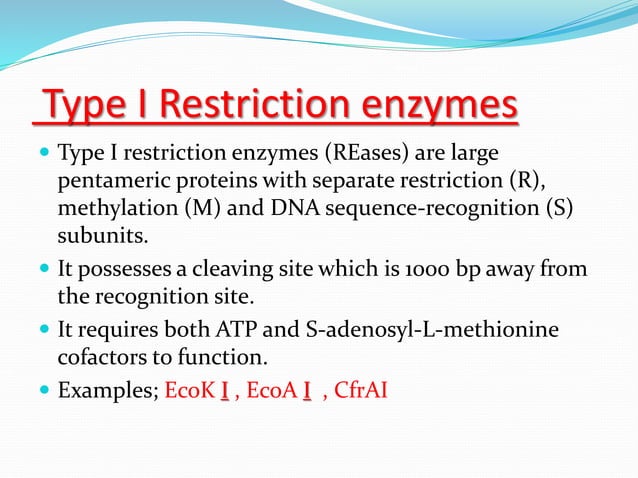 Restriction Enzyme | PPTX | Chemistry | Science