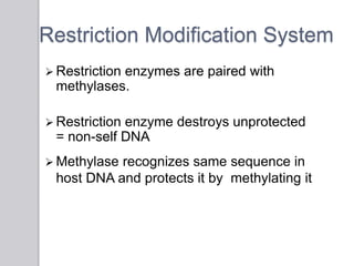 mode of action of restriction enzymes.pptx