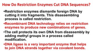 RESTRICTION ENZYMES ( NUCLEASES LIGASE ) | PDF