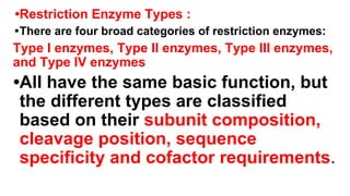 RESTRICTION ENZYMES ( NUCLEASES LIGASE ) | PPT