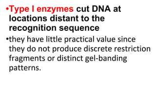 RESTRICTION ENZYMES ( NUCLEASES LIGASE ) | PPT