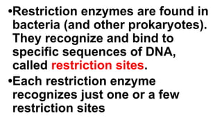 RESTRICTION ENZYMES ( NUCLEASES LIGASE ) | PPT