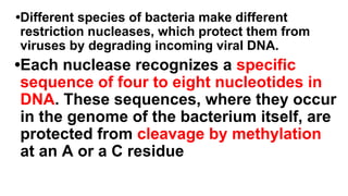 RESTRICTION ENZYMES ( NUCLEASES LIGASE ) | PPT
