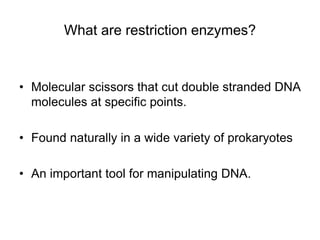Restriction Enzymes, Restriction Enzymes.ppt