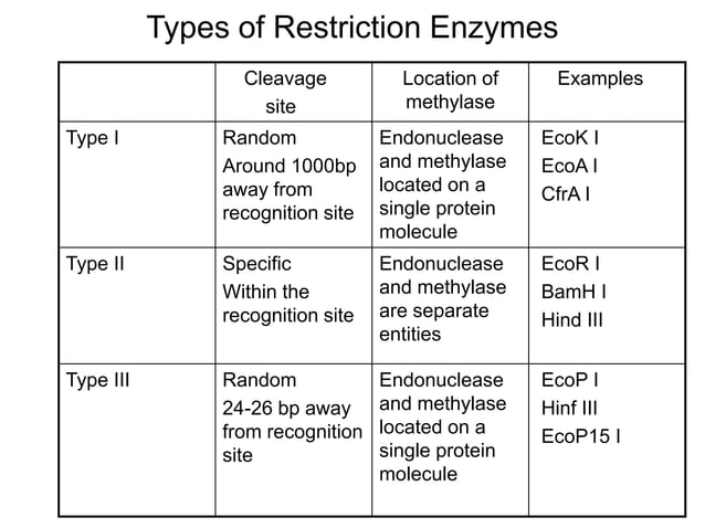 Restriction Enzymes, Restriction Enzymes.ppt