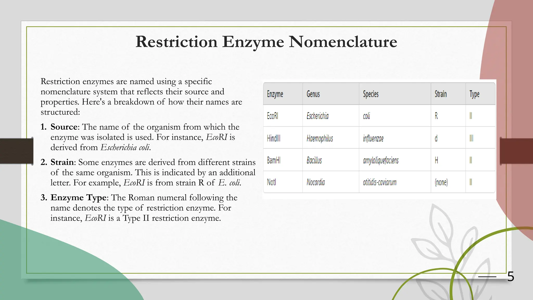 Restriction Enzymes and Their Types.pptx | Chemistry | Science
