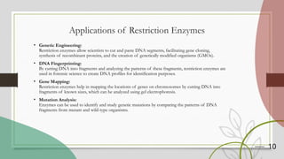 Restriction Enzymes and Their Types.pptx | Chemistry | Science
