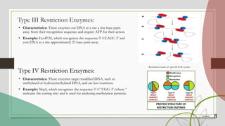Restriction Enzymes and Their Types.pptx | Chemistry | Science