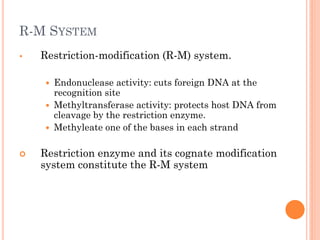 Restriction enzymes d.sirohi | PDF
