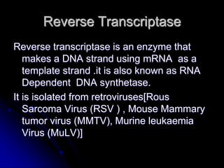 Restriction enzymes | PPTX | Genetics | Science