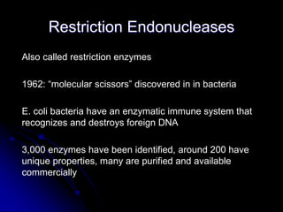 Restriction enzymes | PPTX | Genetics | Science