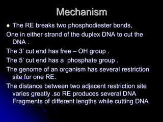 Restriction enzymes | PPTX