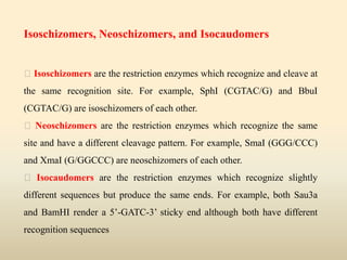 Restriction enzymes by devendra kumar | PPTX | Chemistry | Science