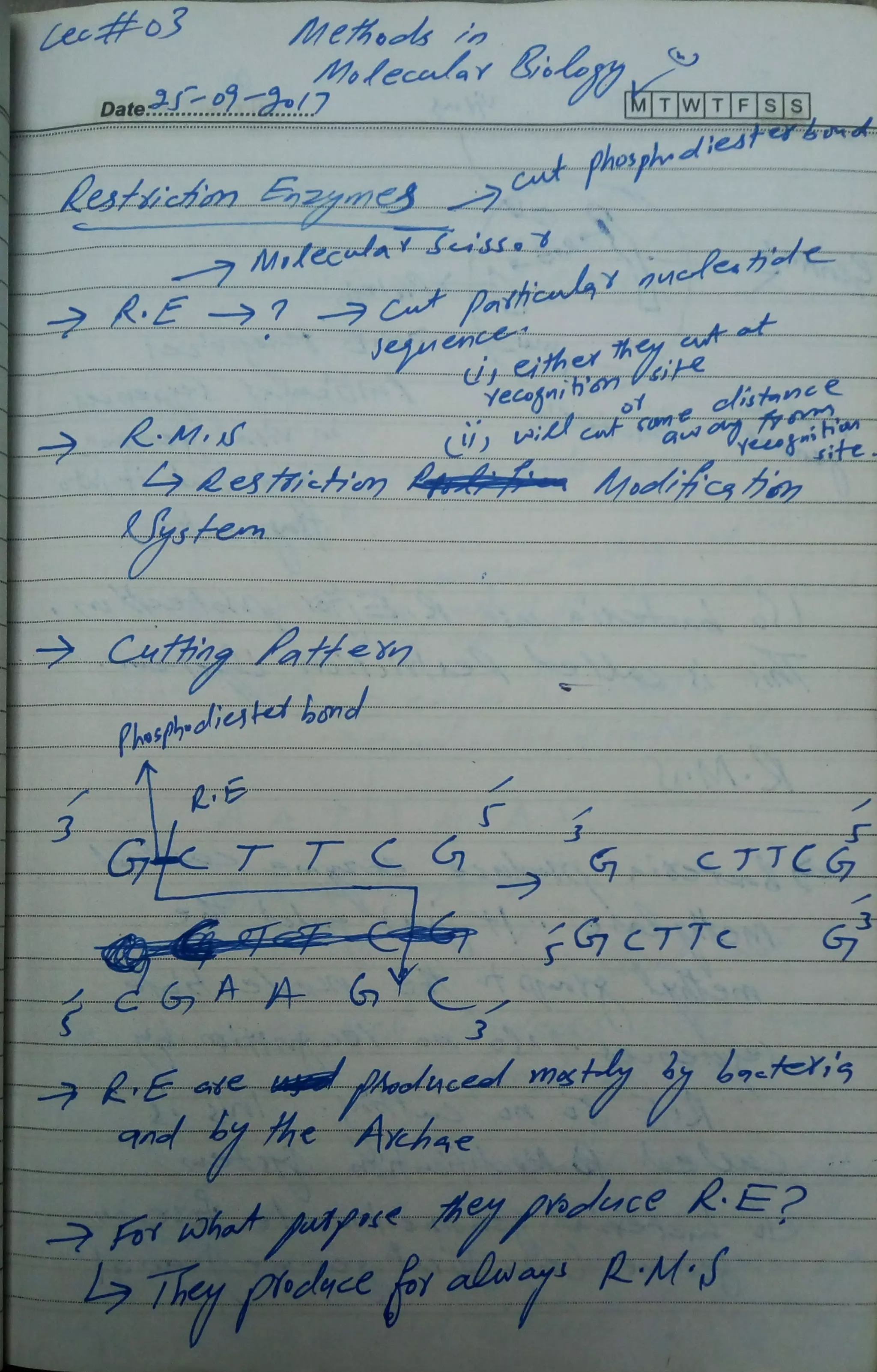 Restriction enzymes, cloning vectors, pcr and its types | PDF ...