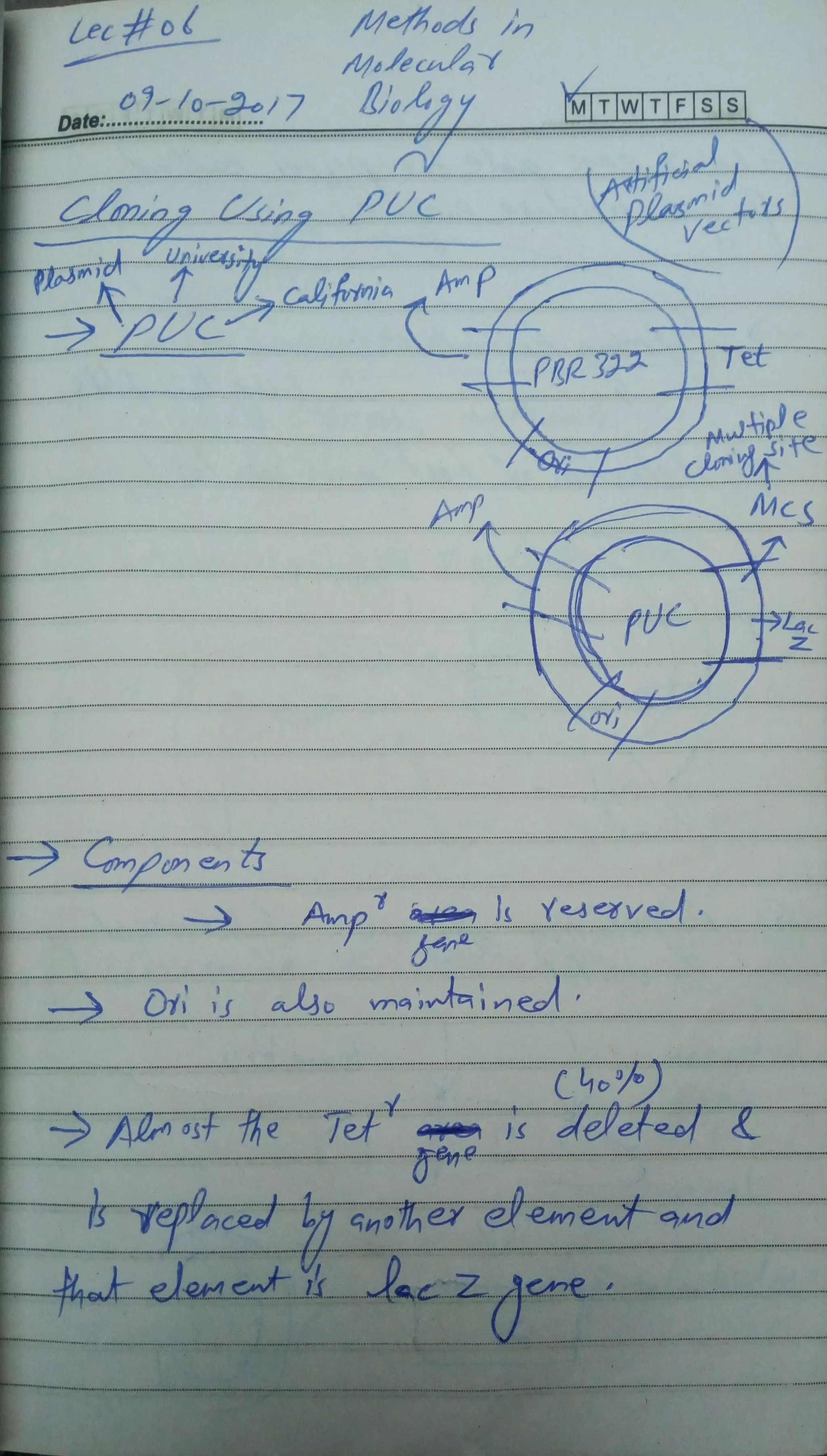 Restriction enzymes, cloning vectors, pcr and its types | PDF ...