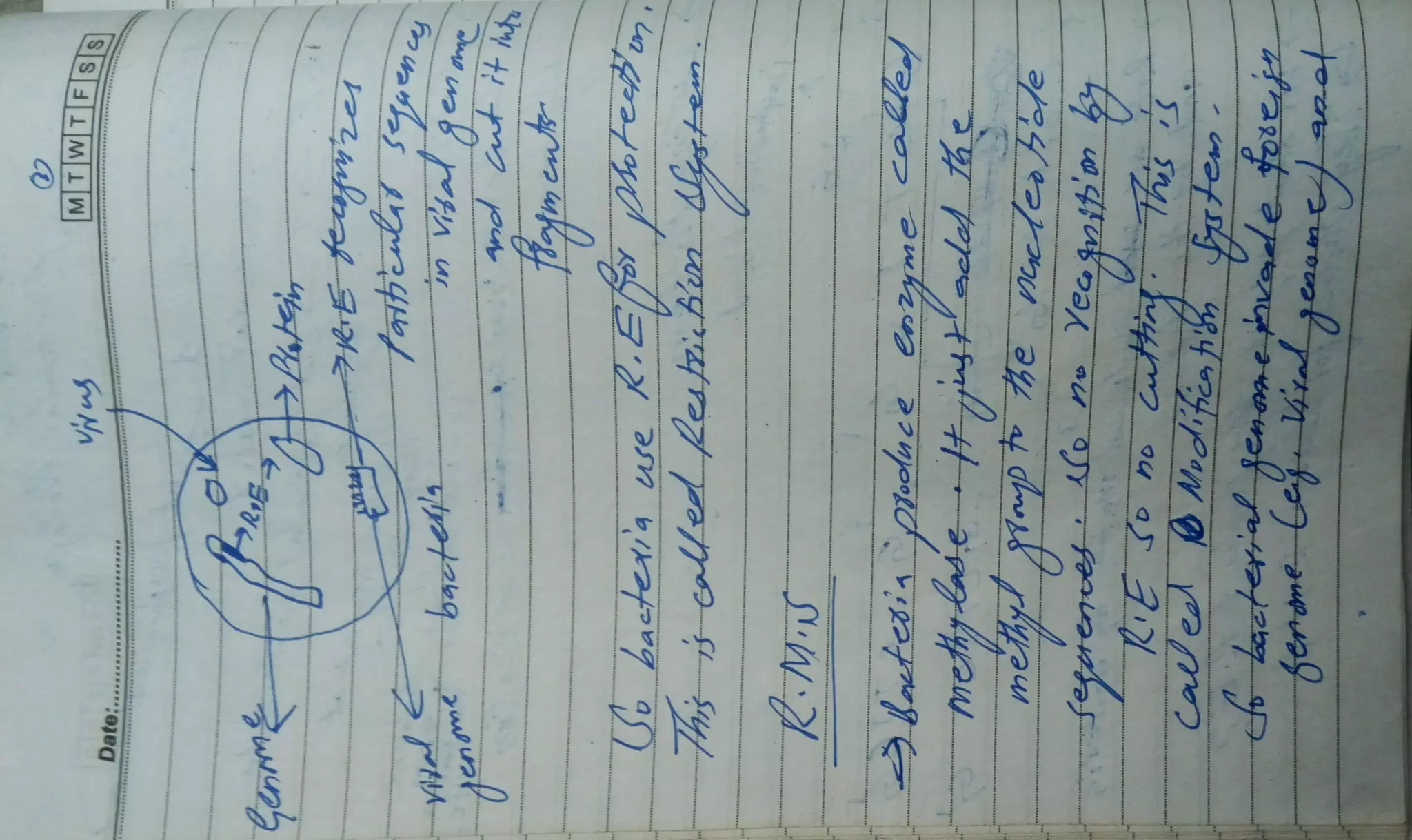 Restriction enzymes, cloning vectors, pcr and its types | PDF ...