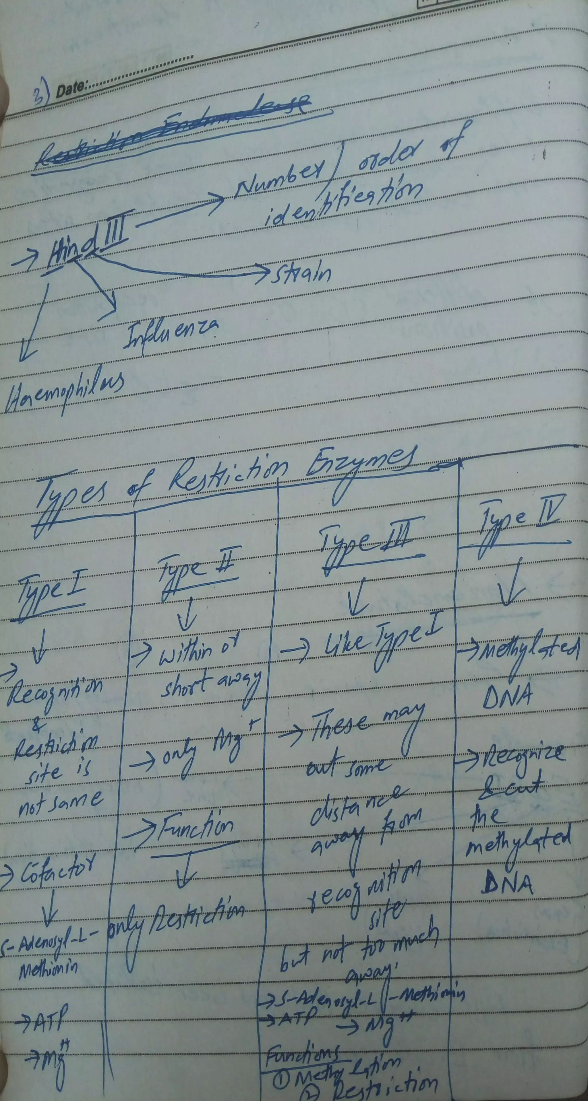 Restriction enzymes, cloning vectors, pcr and its types | PDF ...