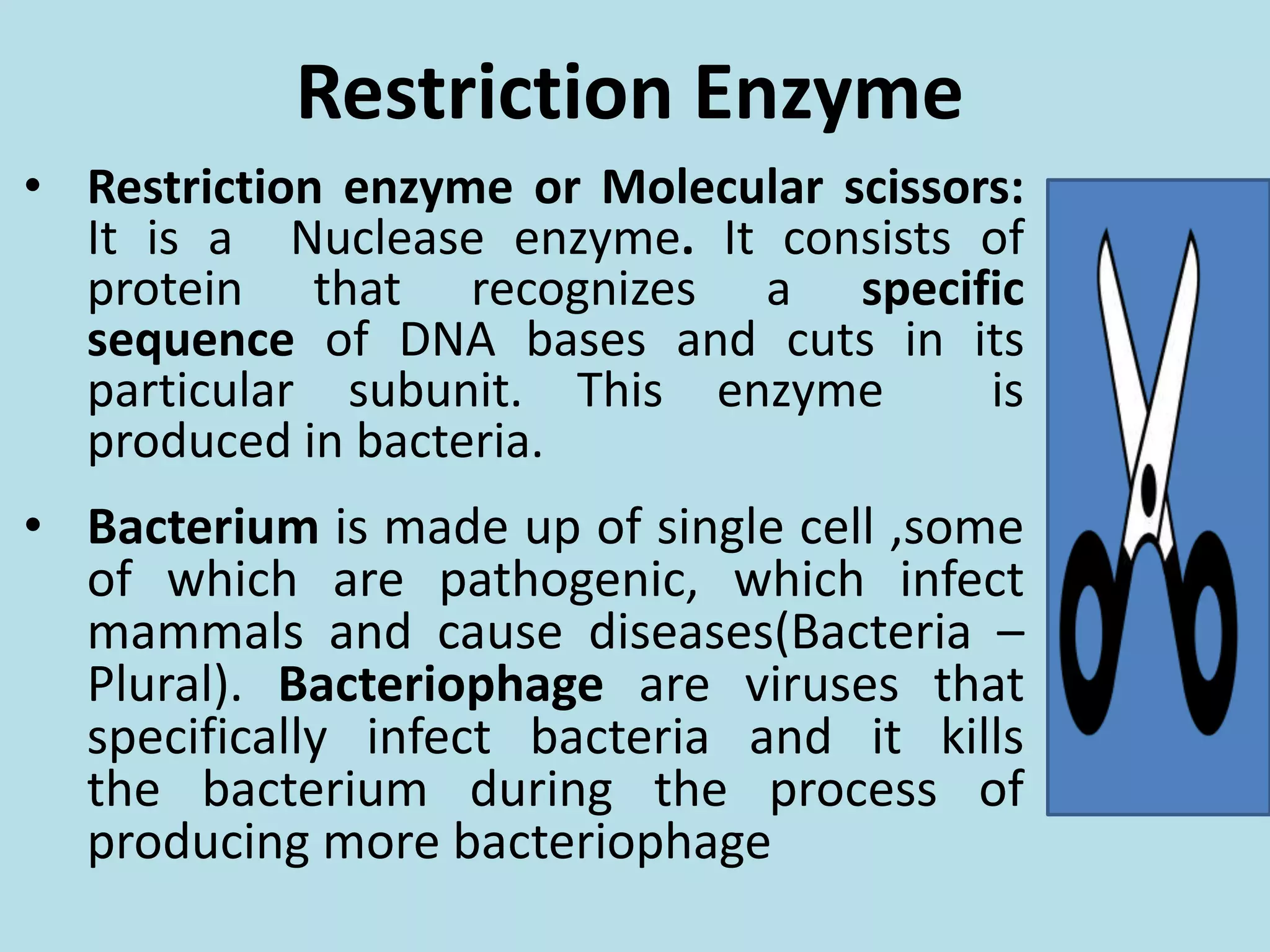 Restriction Endonuclease (Cutting of DNA) | PPTX