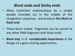 Restriction Endonuclease (Cutting of DNA) | PPTX