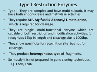 Restriction Endonuclease (Cutting of DNA) | PPTX