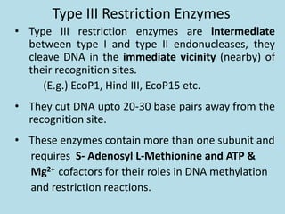 Restriction Endonuclease (Cutting of DNA) | PPTX
