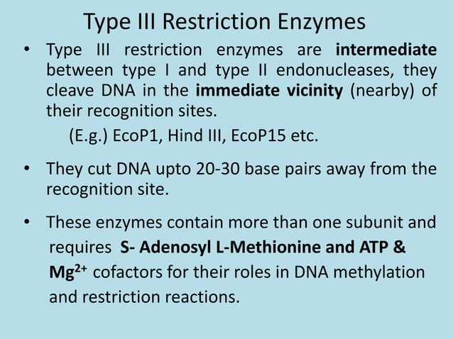 Restriction Endonuclease (Cutting of DNA) | PPTX | Chemistry | Science