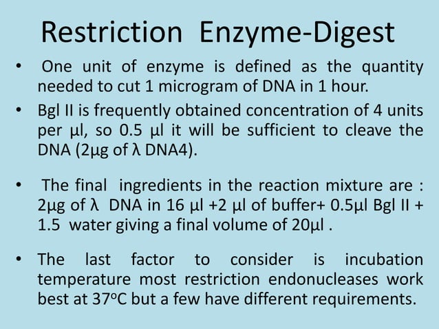 Restriction Endonuclease (Cutting of DNA) | PPTX | Chemistry | Science