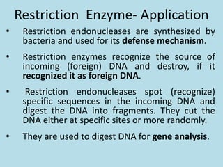 Restriction Endonuclease (Cutting of DNA) | PPTX
