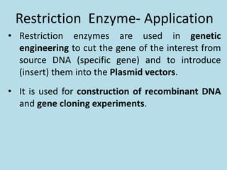 Restriction Endonuclease (Cutting of DNA) | PPTX