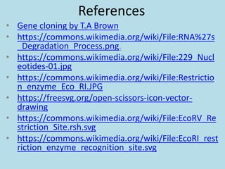 Restriction Endonuclease (Cutting of DNA) | PPTX