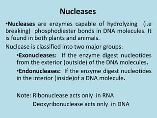 Restriction Endonuclease (Cutting of DNA) | PPTX