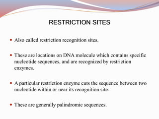 Restriction Endonuclease: The Molecular Scissor of DNA - By RIKI NATH ...