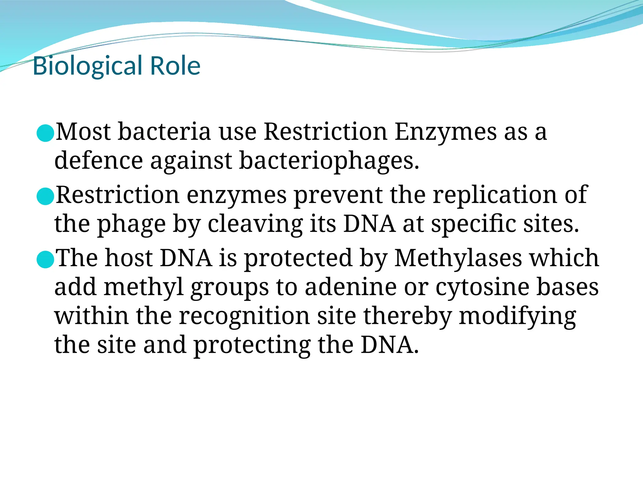 Restriction Enzymes types and uses PPT.ppt
