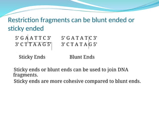 Restriction Enzymes types and uses PPT.ppt