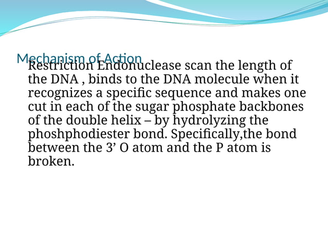 Restriction Enzymes types and uses PPT.ppt