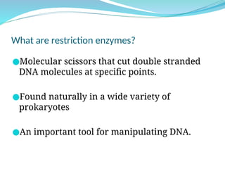 Restriction Enzymes types and uses PPT.ppt