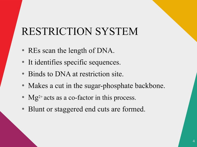 Restriction enzymes and their types | PDF