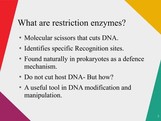 Restriction Enzyme Definition