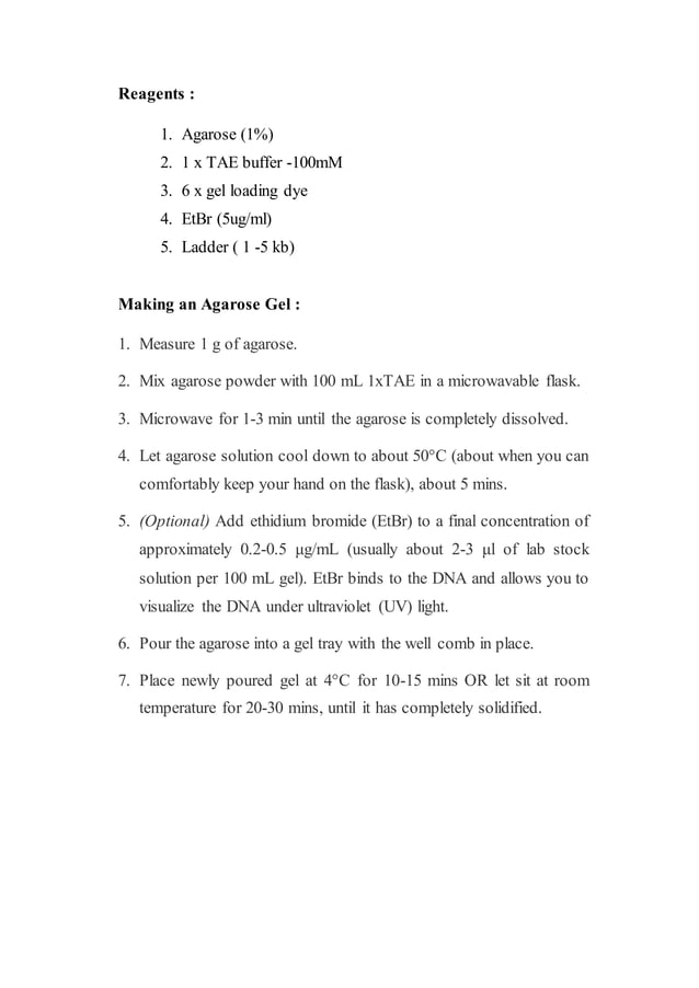 Dna Extraction And Pcr Protocol Docx Chemistry Science