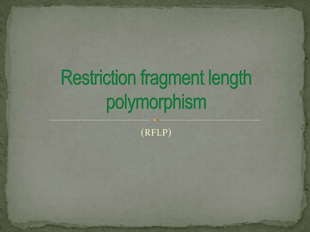 Restriction fragment length polymorphism | PPTX | Genetics | Science