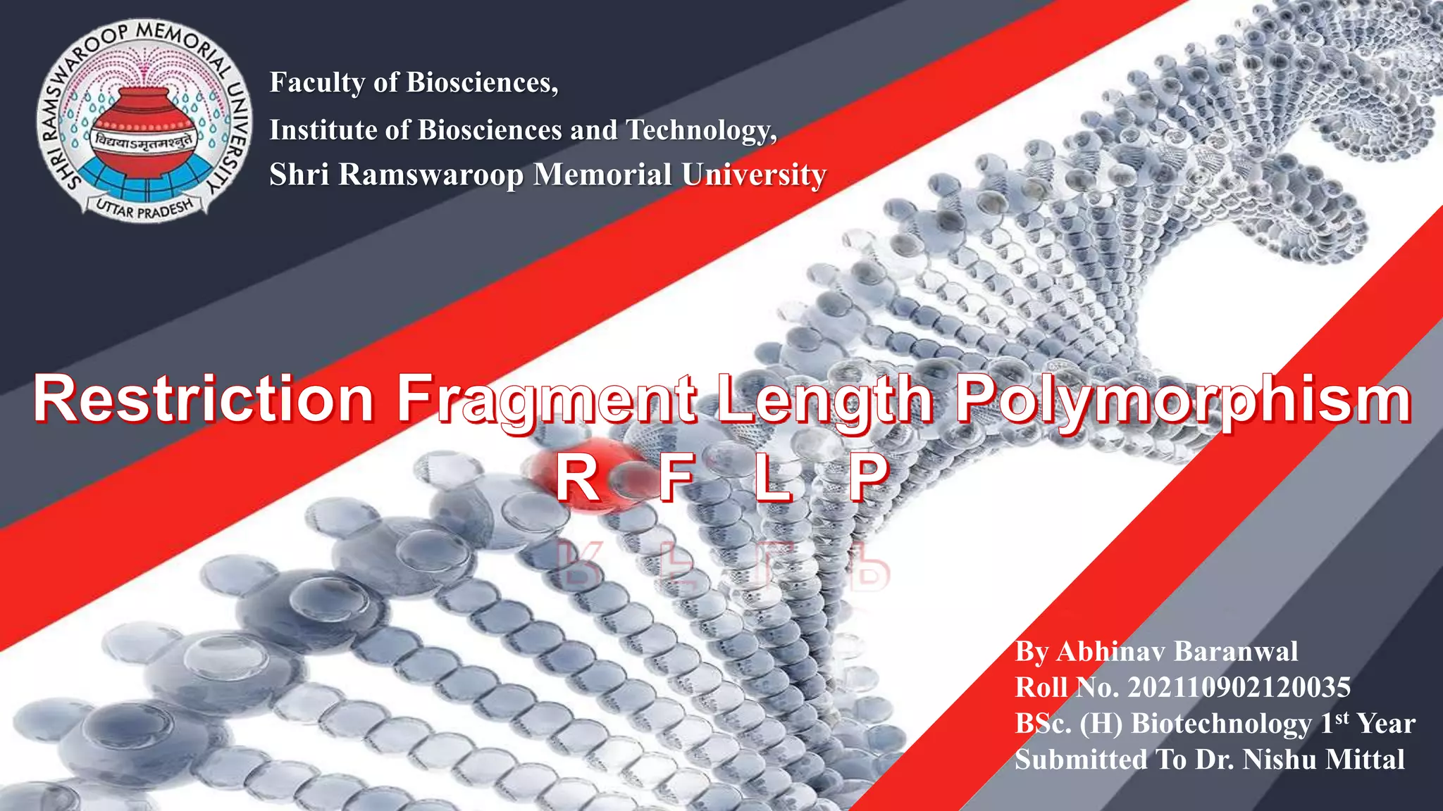 Restriction fragment length polymorphism | PPTX