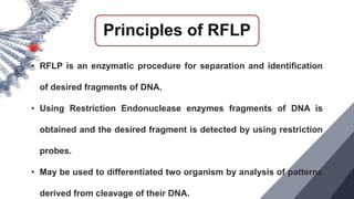 Restriction fragment length polymorphism | PPTX