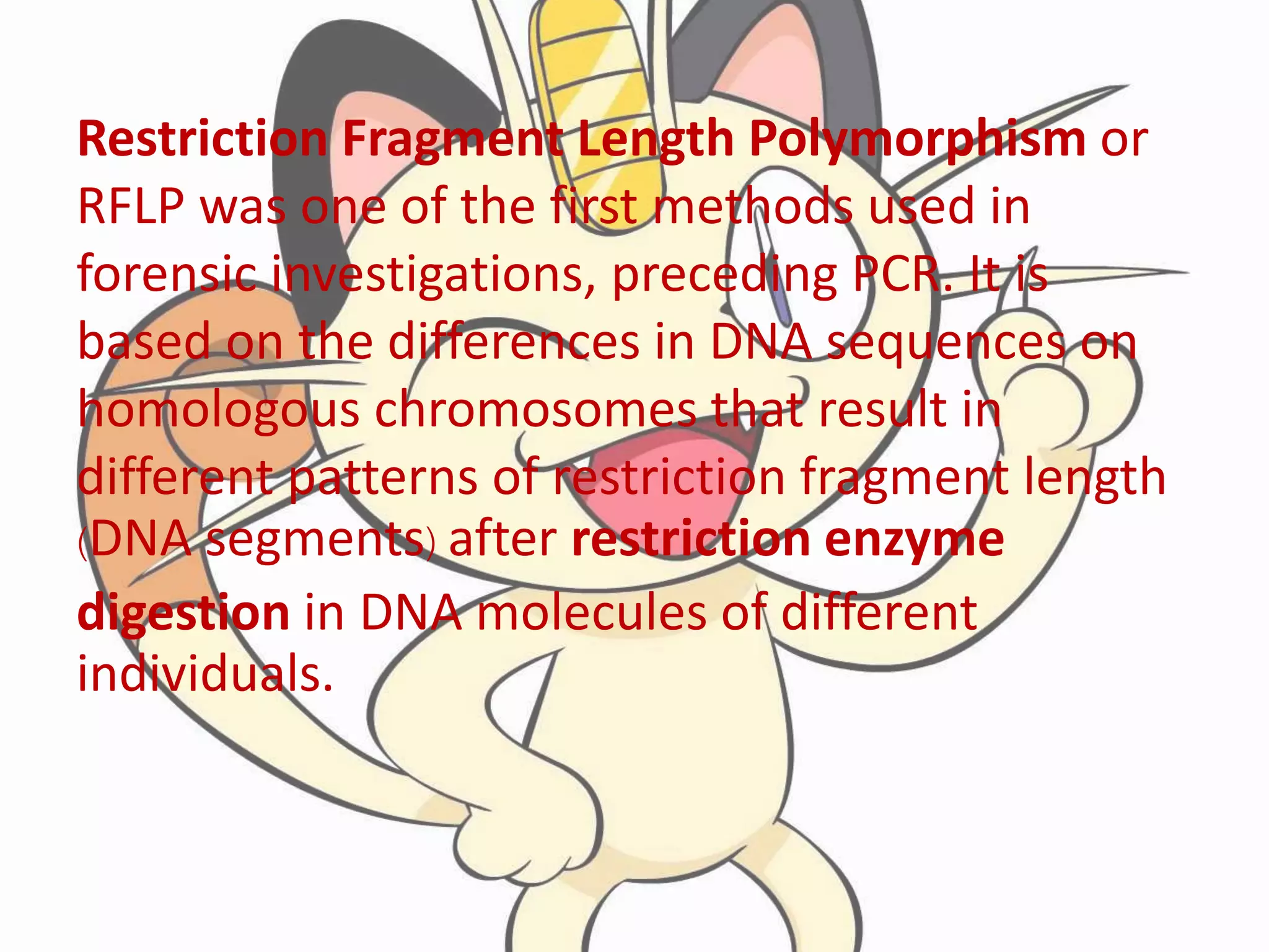 Restriction fragment length polymorphism (rflp) | PPT