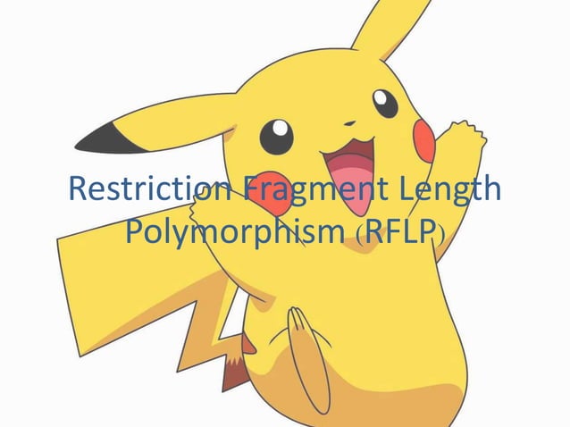 Restriction fragment length polymorphism (rflp) | PPT