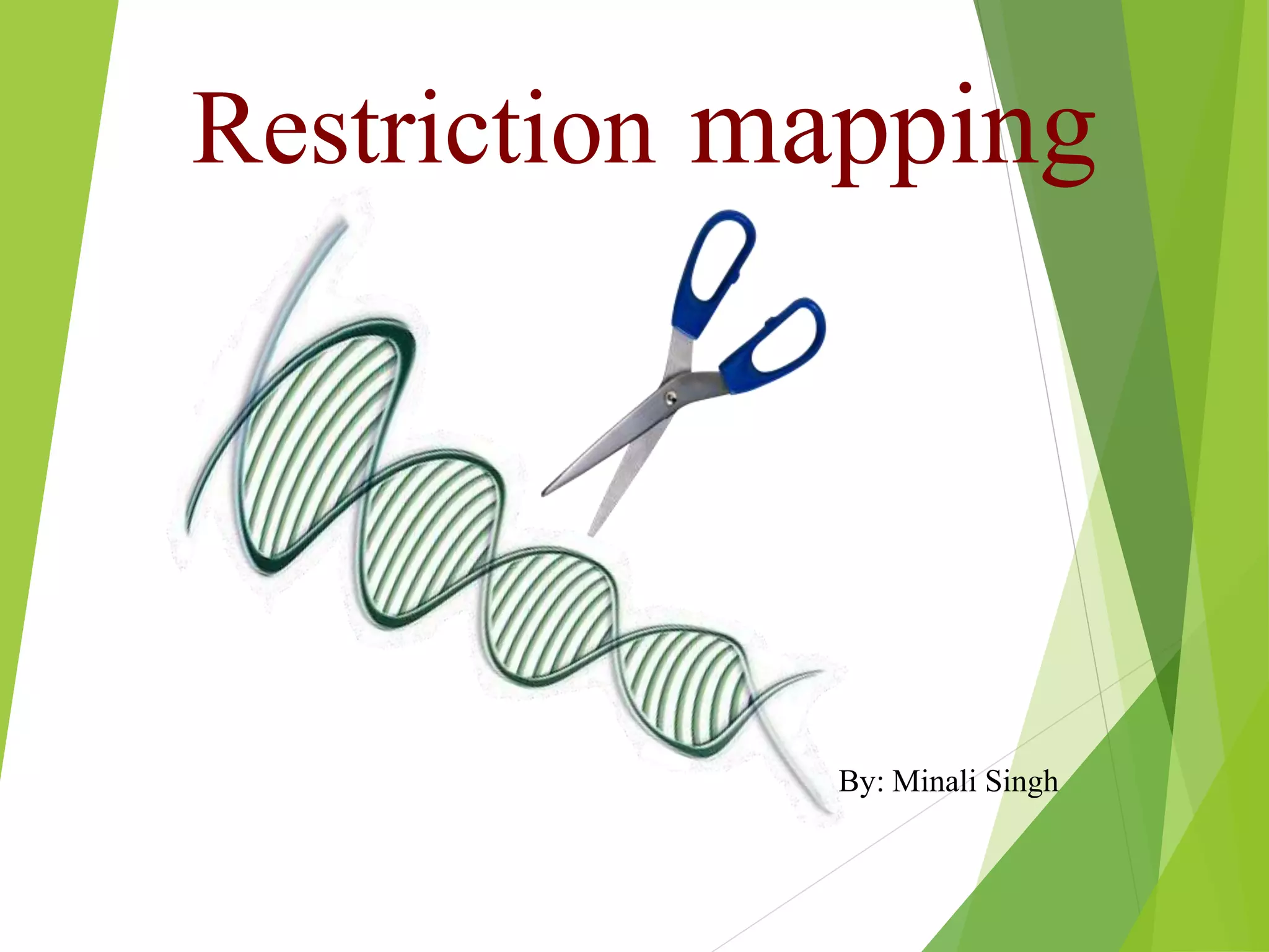 Restriction mapping | PPTX