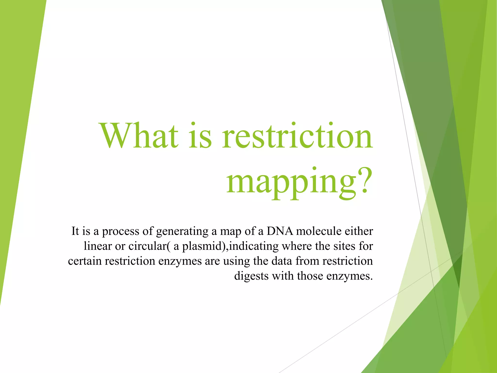 Restriction Mapping Pptx Chemistry Science
