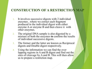 Restriction mapping | PPTX